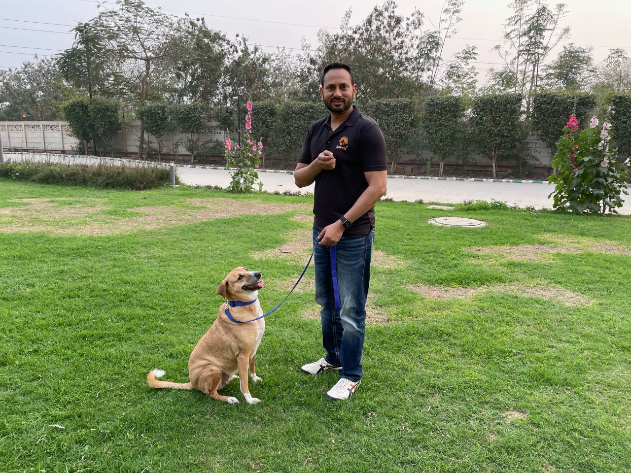 AirPets: Relocating Your Beloved Pets Globally - HBW NEWS London